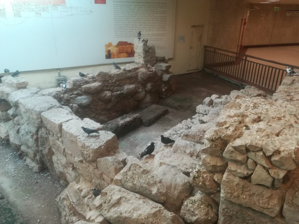 «Μάχη» με τα περιστέρια στους σταθμούς του ΗΣΑΠ – Athens Transport